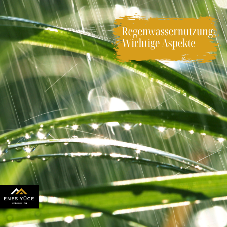 Regenwassernutzung: Wichtige Aspekte